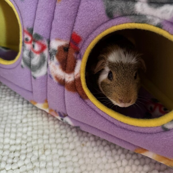 Guinea Pig Tunnel Guinea Pig Accessories Colorful Guinea Pig Play ...