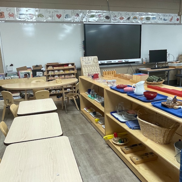 Montessori Pink Series Language Cards, Learn to Read CVC Words - Etsy