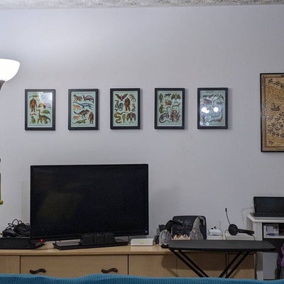 The Natural History of Cryptid Creatures Picture Book - Etsy