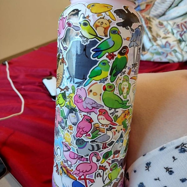 Chickadeez Nuts Sticker - Etsy