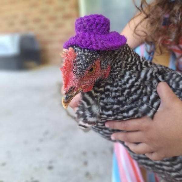 Crochet Pattern Chicken Cowboy Hat Chicken Hat Chicken Lover Gift Easy ...