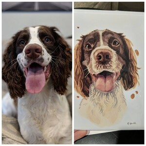Spaniel All Occasion Card, Funny Dog Birthday Greeting Cards - Etsy UK