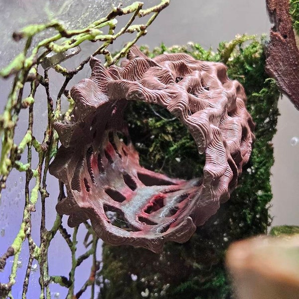 3D Printed Hollow Log Platform and Hide Jumping Spider Decor - Etsy