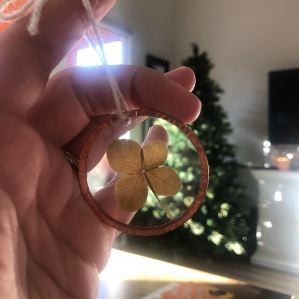 Pressed FIVE Leaf Clover Pack (not Perfect Clovers), Real Clovers for ...