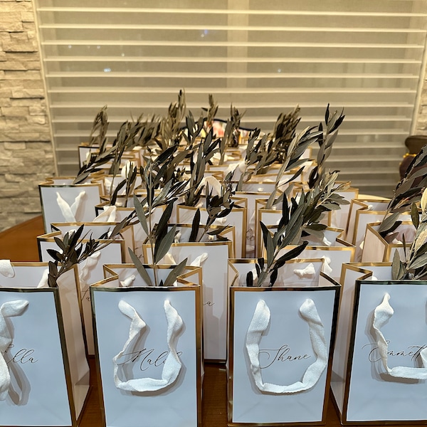 Olive Branches, Set of 10 - 50 Fresh Olive Stems and Leaves, Greek ...