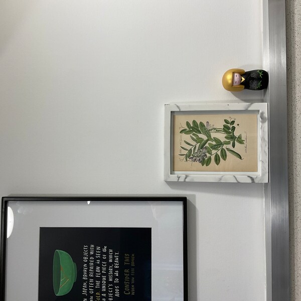 Insects - Hand-colored Original Antique Insect Print - Orbigny ...