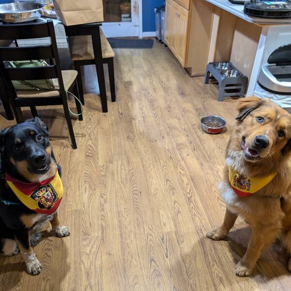 Teenage Mutant Ninja Turtles (TMNT) Print - Small/medium/large ...