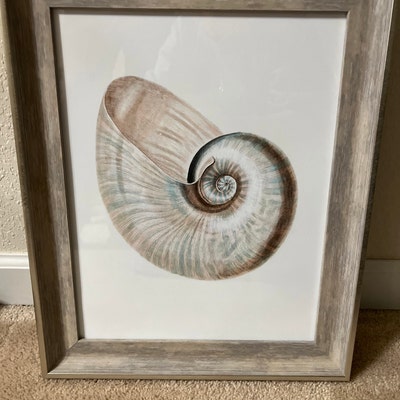 Nautilus Shell Print, Seashell Print, Vintage Seashell Print, Seashell ...
