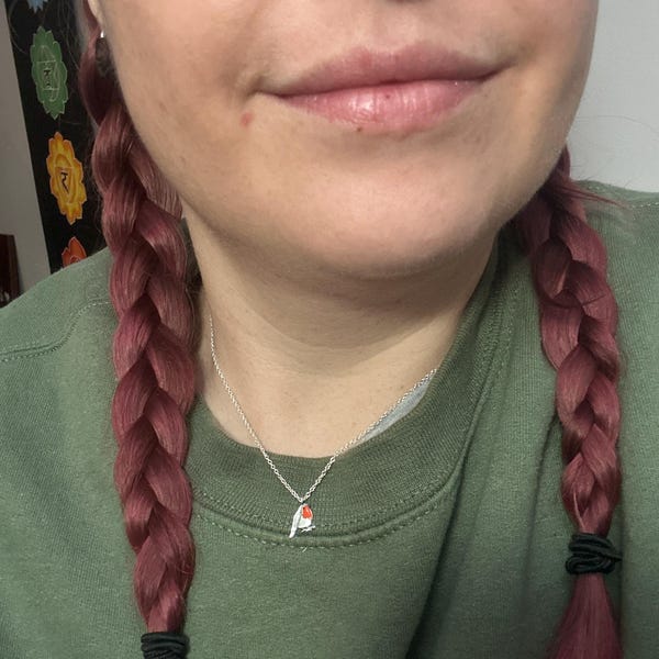 Dainty Robin Bird Necklace. Sterling Silver and Orange Enamel. Nature ...