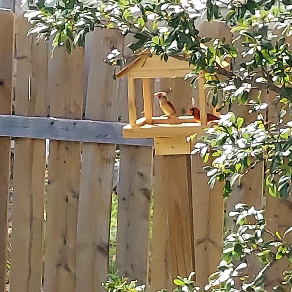 13”x13” Fly-through 4x4 Post Feeder - Etsy