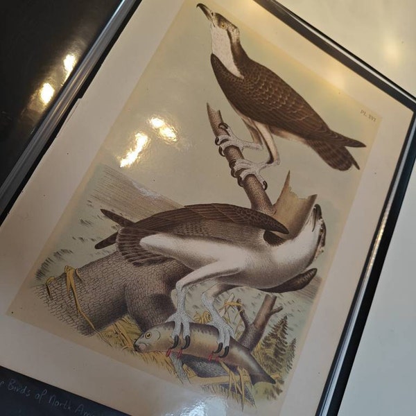 Human Body Part, Rear View / Head and Neck / Human Anatomy ...