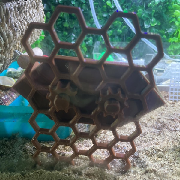 Cactus Hide House Hermit Crab, Spiders, Gecko, Snake, Etc - Etsy