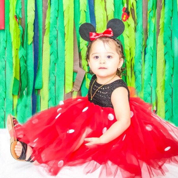 Mickey Mouse Birthday Dress, Red Mickey Mouse Outfit, 1st Birthday Tutu ...