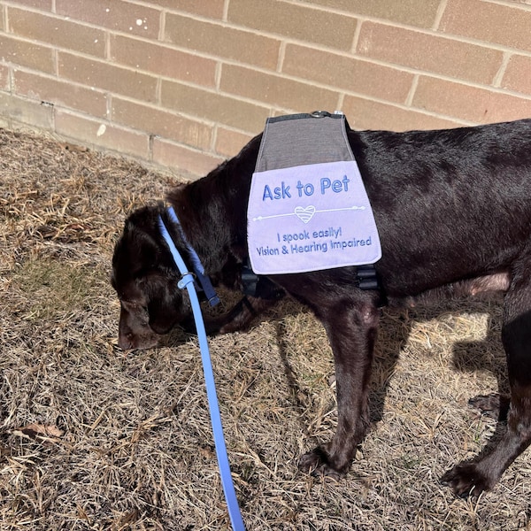 Vest adjustable Size, in Training Do Not Approach, Light Weight Sd ...