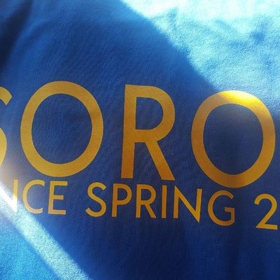 Nine Pearls Girl Sisterhood Delta Sorority Sorority DST Shirt Sorority ...