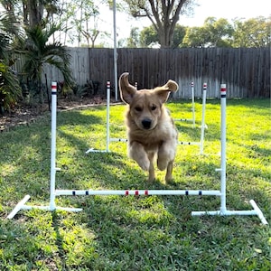 Dog Agility Equipment Construction Instruction Booklet - Etsy
