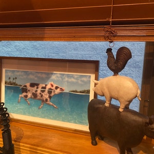 Rainbow Pika Art Print Original Artwork by Sarah Becktel. Original Pika ...