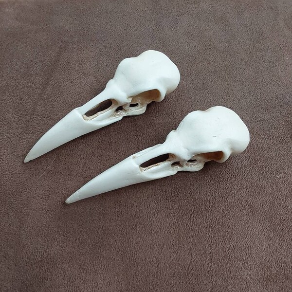 Strangers From Hell Human Teeth Bracelet Replica Prop Oddity Weird ...