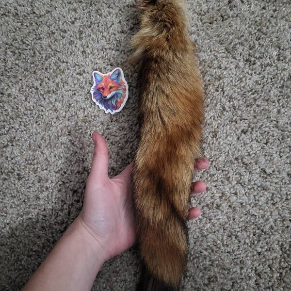 Choose Your Own, Real Fur Red Fox Tail Keychain With Swivel Clasp ...