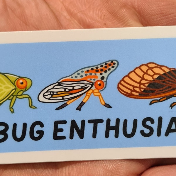 Number 1 Bug Enthusiast Sticker / Entomology / Entomologist / Bug Lover ...