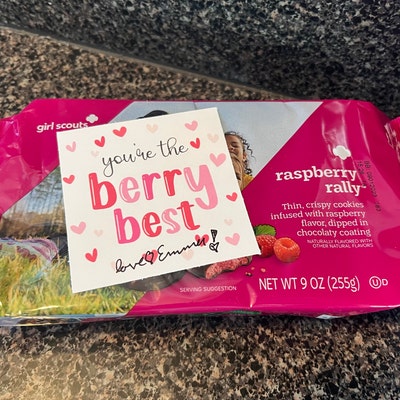 You're the Berry Best Gift Tag Printable Valentines Day Tags Pink Red ...