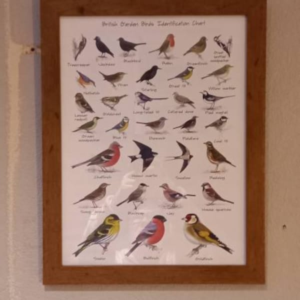 Giant & Large A0 A1 World Map Wall Chart Including Flags Laminated ...