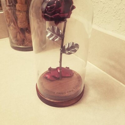 Beauty and the Beast Rose With Fallen Red Petals in Glass Dome on ...