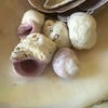 Extra Large Umbilicate Baler Melo Shell 13'" Exact Shown - Etsy
