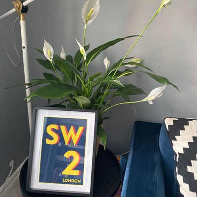 SE19 Crystal Palace London Postcode Typography Print Giclée - Etsy UK