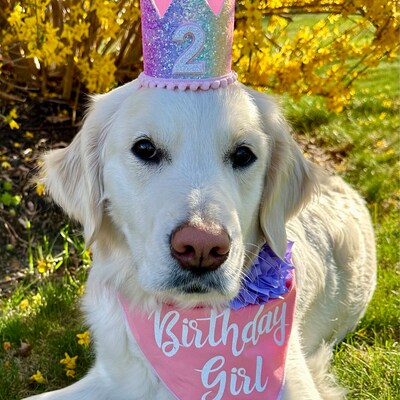 Tin Man Funnel Hat, Tin Man Costume, Tin Man Cosplay, Costume Accessory ...