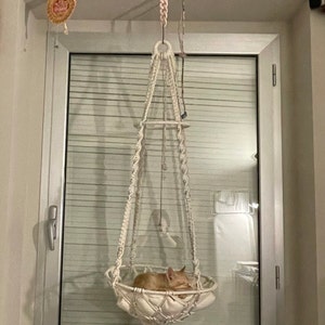 Macrame Gifthanging Cat Macrame Basket Hanging Cat Hammock - Etsy