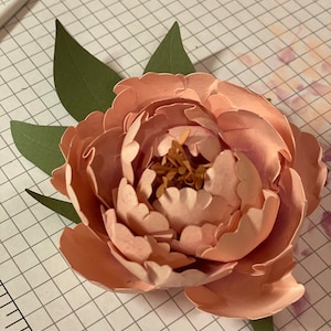 Deluxe Paper Flower Tool Kit With 3 Paper Flower Kits Peony, Rose ...