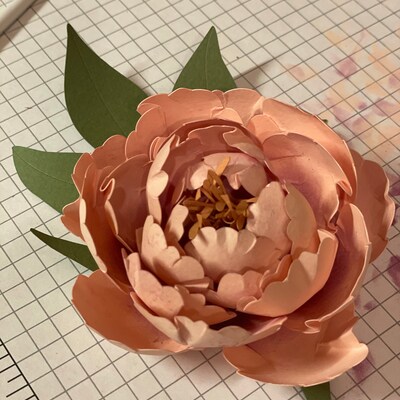 Deluxe Paper Flower Tool Kit With 3 Paper Flower Kits Peony, Rose ...