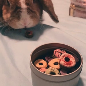 24 donut Rabbit Treats With Organic Fruit & Veggie - Etsy