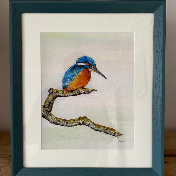 KINGFISHER - Print of an Original Watercolour Painting by Jan Taylor ...