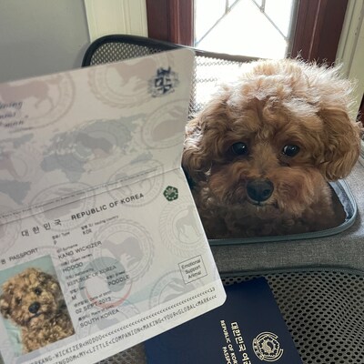 The Pet Pass 50 US State Stamp Stickers - Etsy