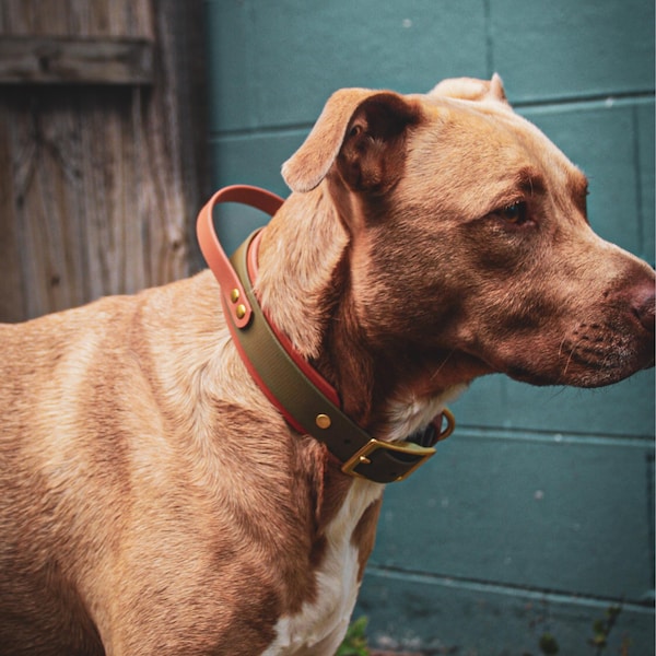 Biothane Long Line Dog Leash, 5/8 Inch Width Extra Long Leash, Recall ...