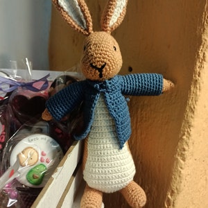 Large Peter Rabbit Crochet Pattern, Amigurumi Rabbit Pattern, Peter ...