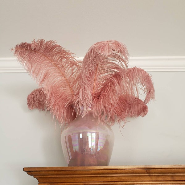 Retro Pink Ostrich Feather 26-28 Inch/5-100pcs Home Decor Romantic ...