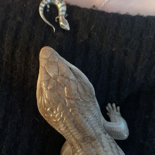 Urnes Serpent Brooch - Etsy