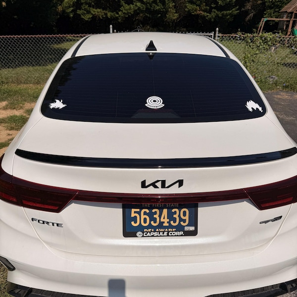 The Riddler's Mark Logo Vinyl Diecut Decal Sticker All Sizes - Etsy