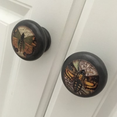 Insect Handles set of 6 Bug Handles Decoupaged Drawer Handles Drawer ...