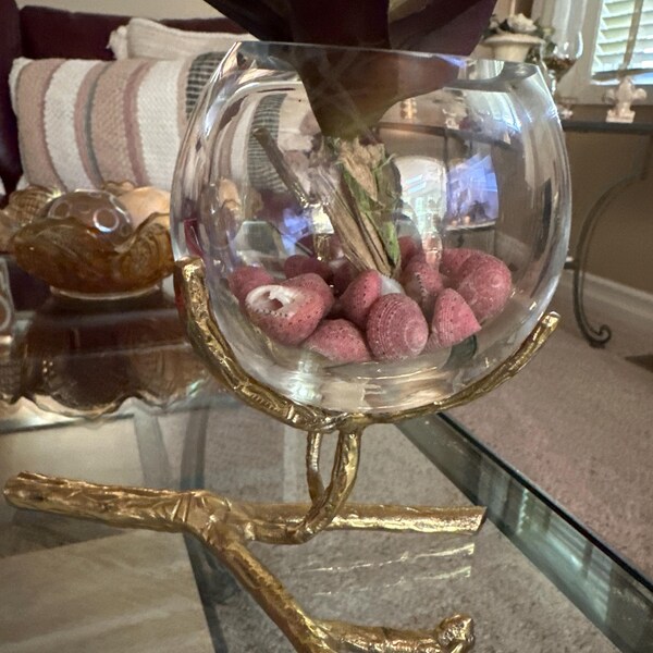 Strawberry Top Seashells (10) - Seashell Supply - Craft Seashells - Red ...