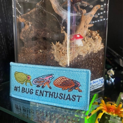 Number 1 Bug Enthusiast Iron-on Patch / Entomologist / Entomology ...