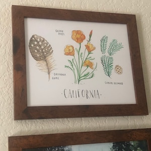 Florida State Tree Flower Bird Art Print Botanical | Etsy