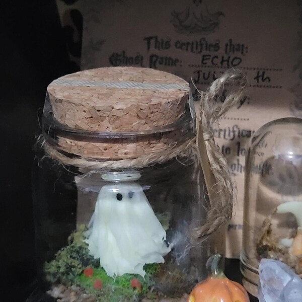 Pet Ghost in a Jar Flowy Sheet Ghost Glow in the Dark Handmade Miniature Diorama Halloween Decor ...