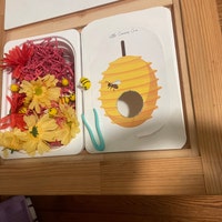 Printable Kids Flash Cards, Montessori Learn Sunflower Anatomy ...