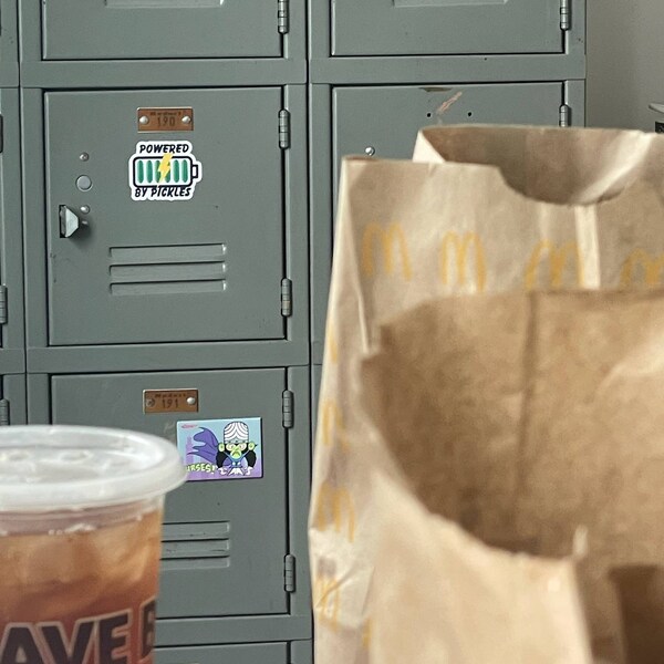 Pickle Sticker Pack Stickers Stickers for Laptop Water Bottle Sticker ...