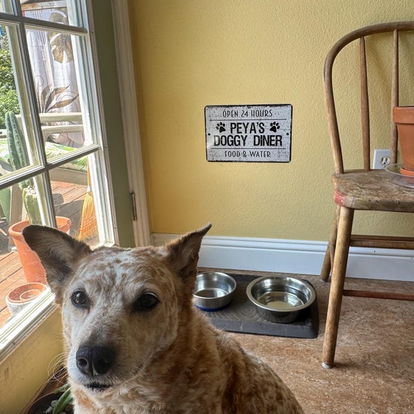 Personalized Doggy Diner Metal Sign - Custom Farmhouse Style Wall Art ...