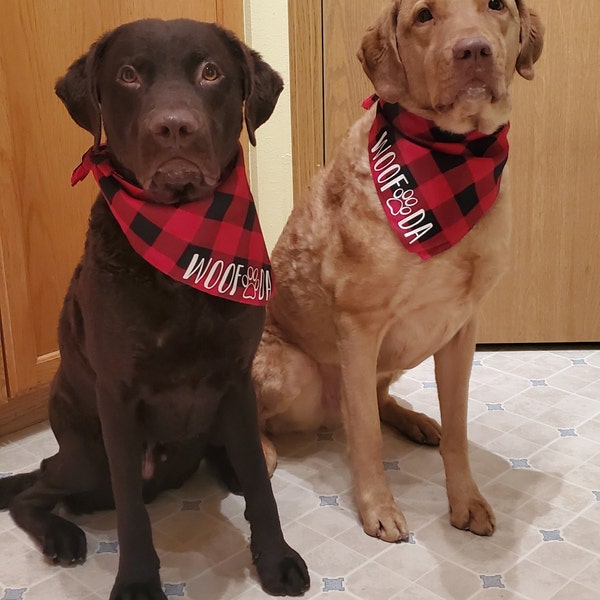 Floral Highland Cow Hello World Sign, Digital Download! SVG, AI, PDF - Etsy